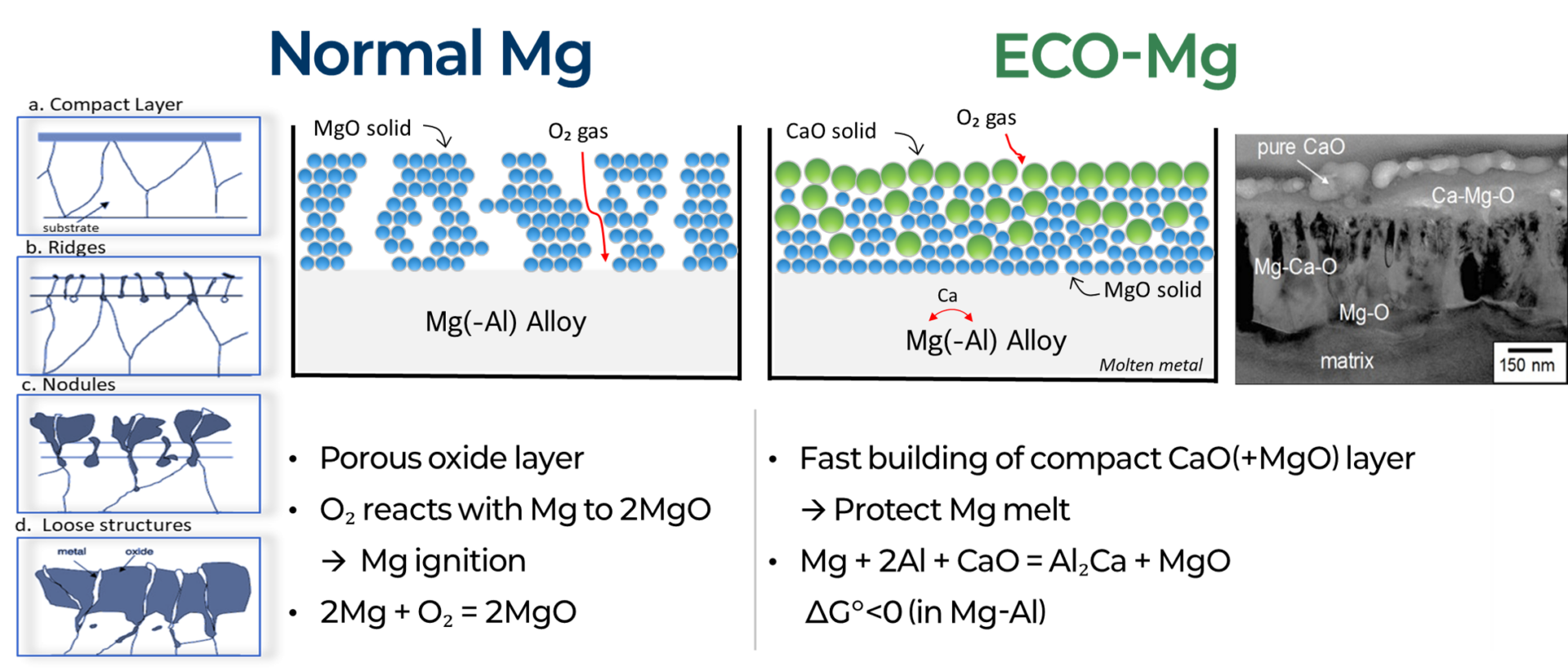 Eco Almag